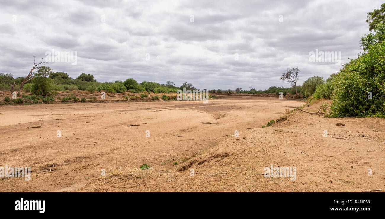 A dry riverbed in Limpopo, South Africa Stock Photo - Alamy