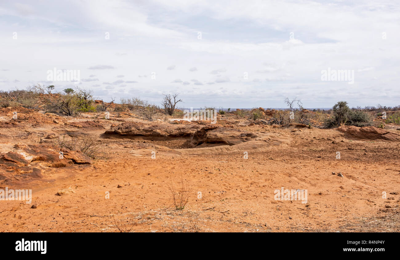 A dry riverbed in Limpopo, South Africa Stock Photo - Alamy