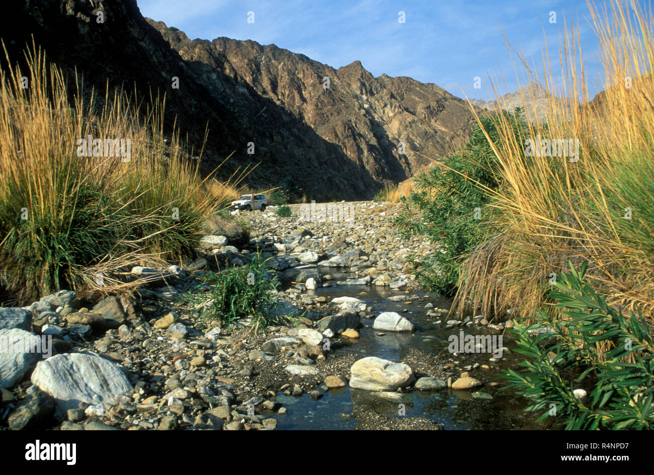 Spring water creek in Fujairah, eastern UAE Stock Photo - Alamy