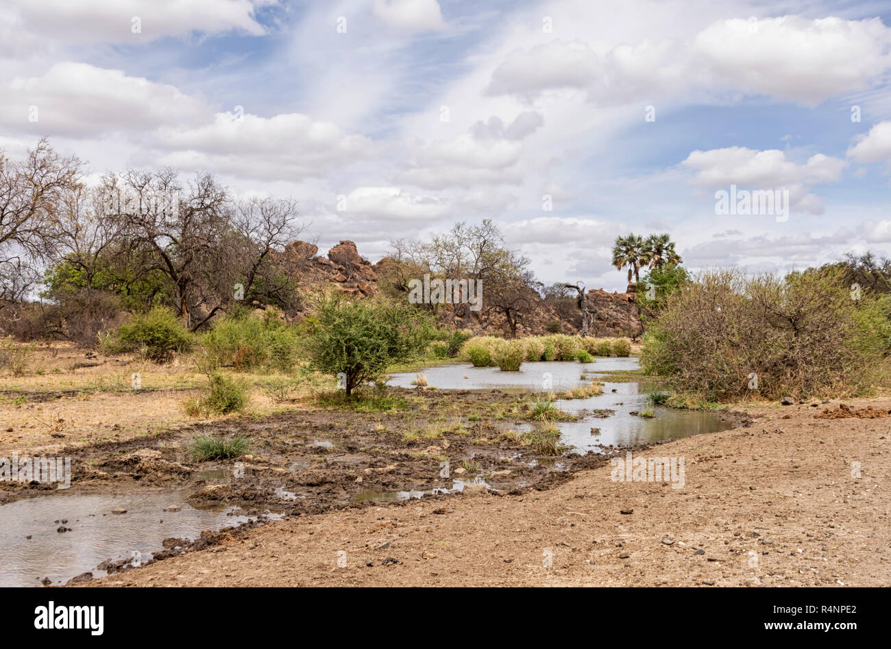 Shallow riverbed desert hi-res stock photography and images - Alamy