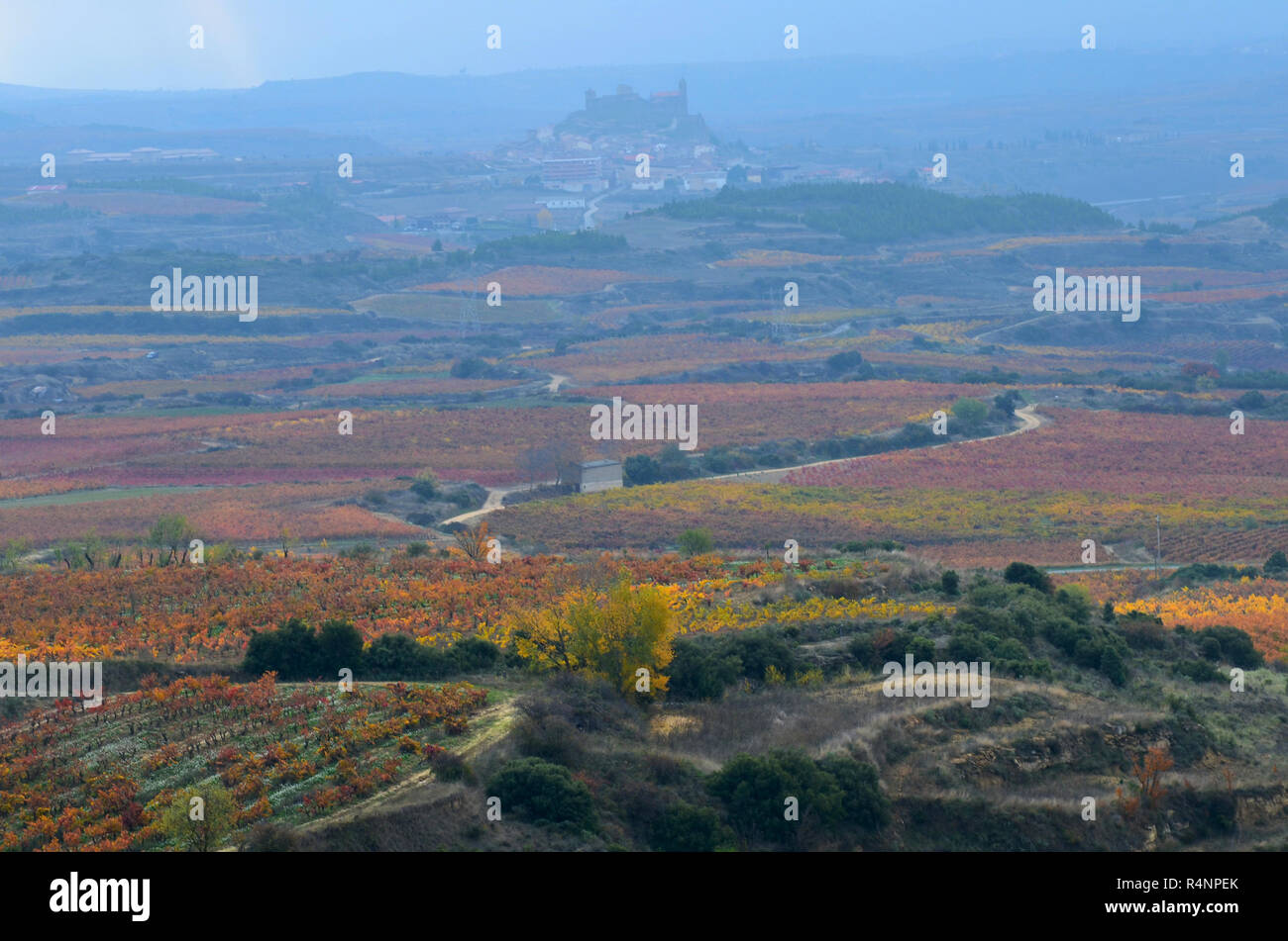 Sonsierra vineyards hi-res stock photography and images - Alamy