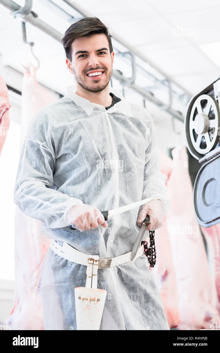 Butcher in slaughterhouse in front of swine halves Stock Photo - Alamy