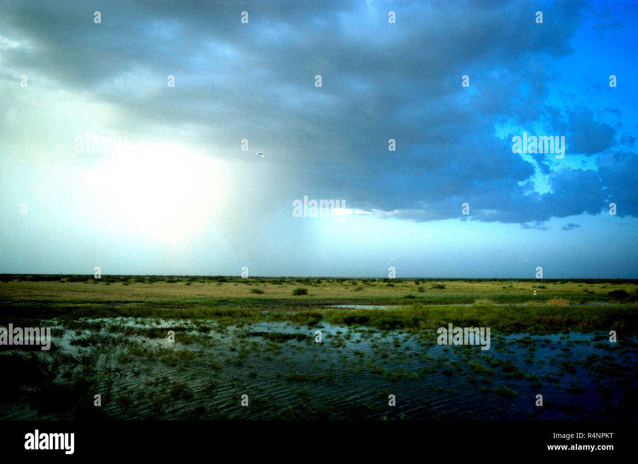 Sudd wetlands hi-res stock photography and images - Alamy