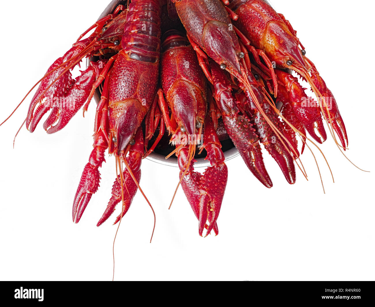 boiled louisiana crawfish Stock Photo - Alamy