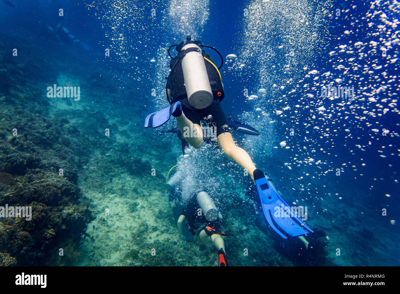 Diver emerging from water hi-res stock photography and images - Alamy