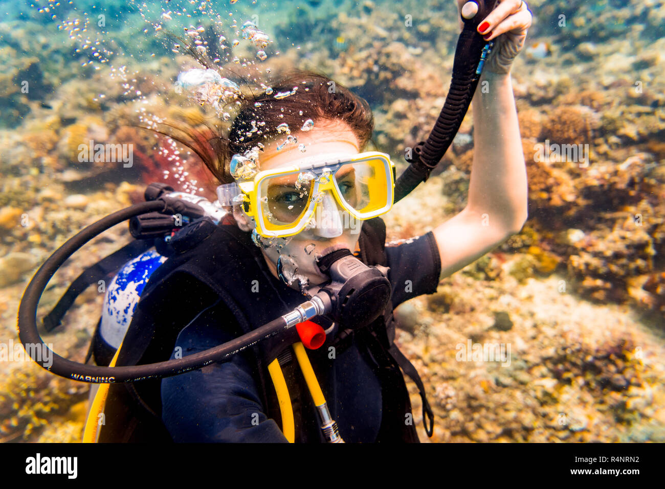 Girls scuba diving hi-res stock photography and images - Alamy