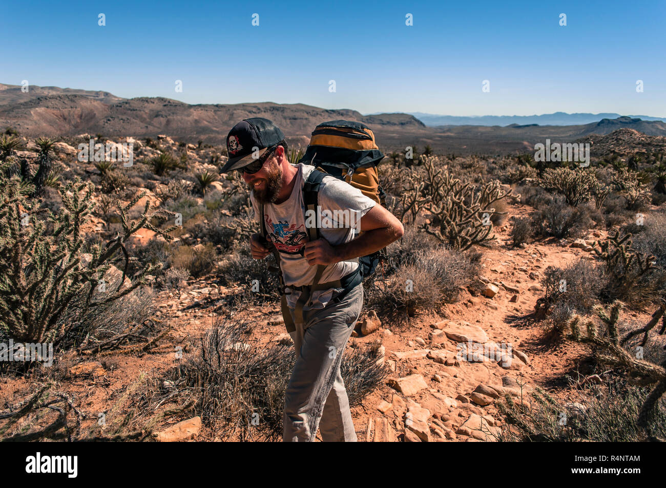 View of adventurous young man hiking in desert hi-res stock photography ...