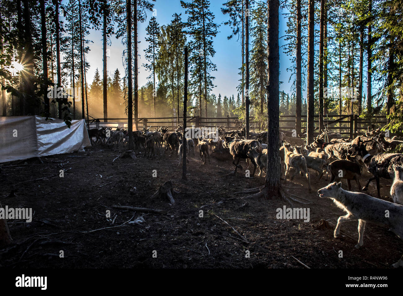 Muonio sami village hi-res stock photography and images - Alamy