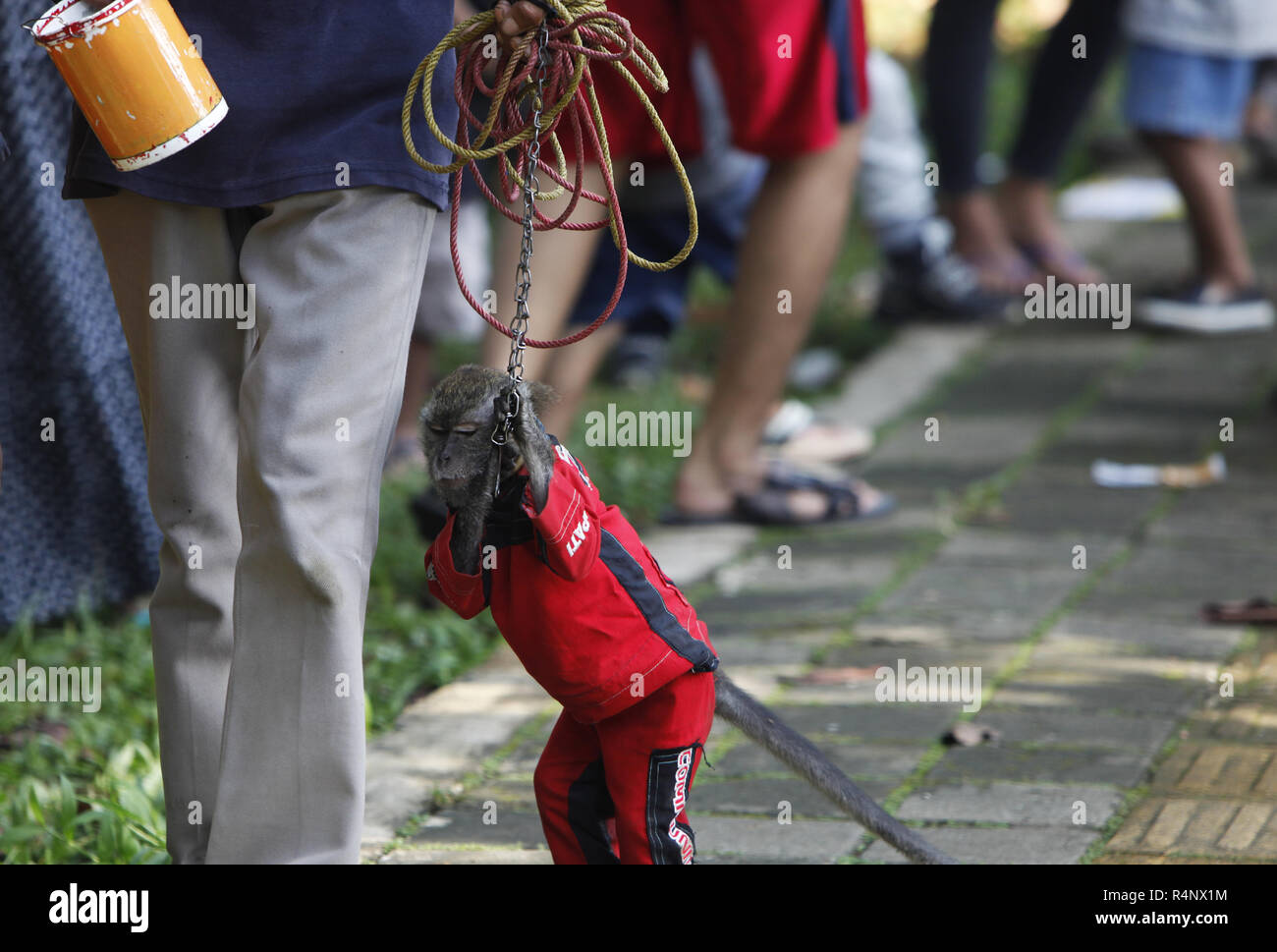 November 27, 2018 - Bogor, West Java, Indonesia - A man is seen ...