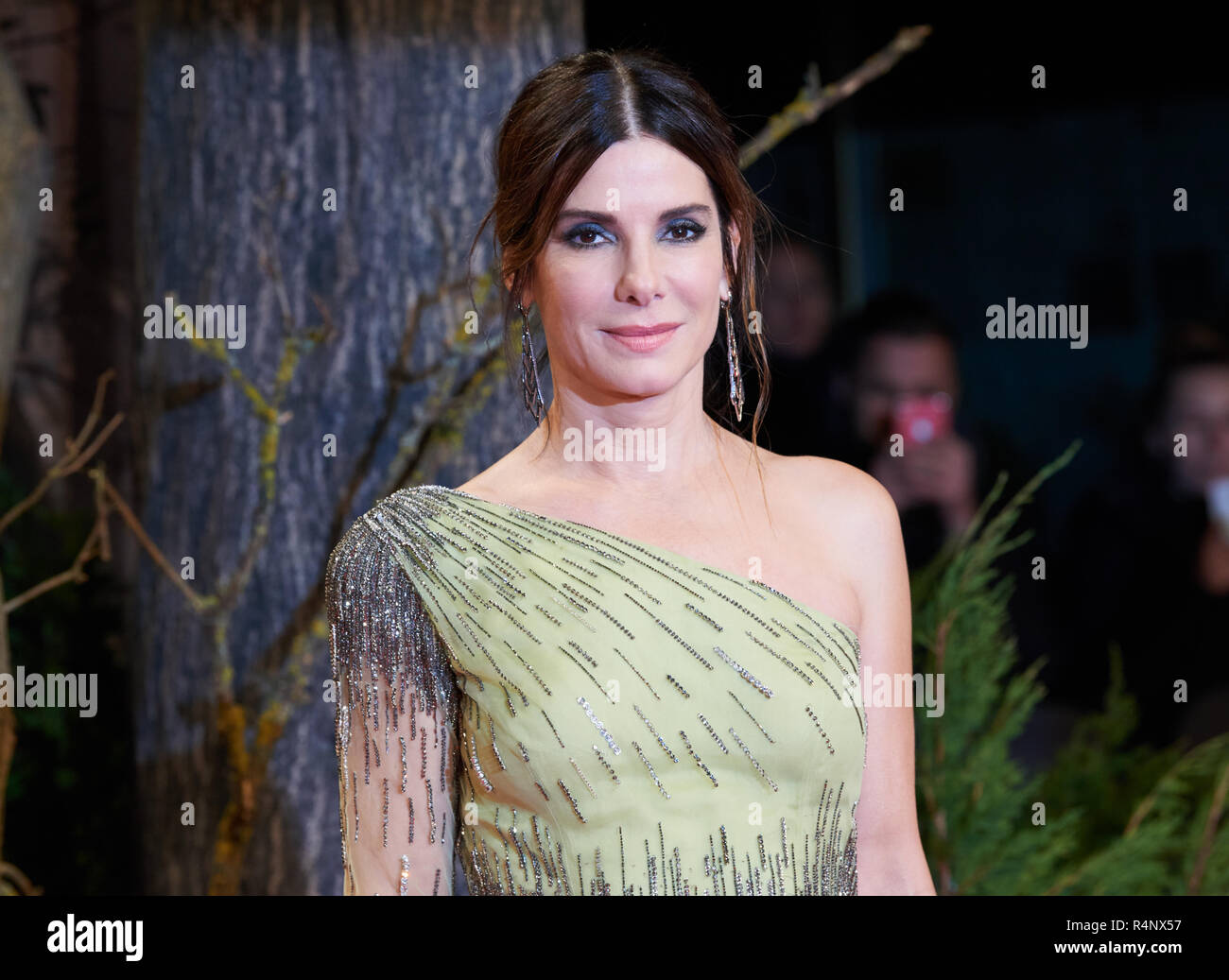 Sandra annette bullock hi-res stock photography and images - Alamy