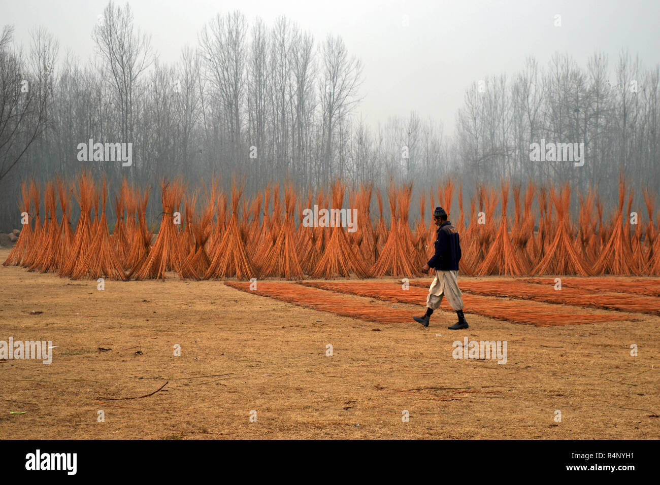 Srinagar, Jammu And Kashmir, India. 27th Nov, 2018. A Kashmiri worker ...