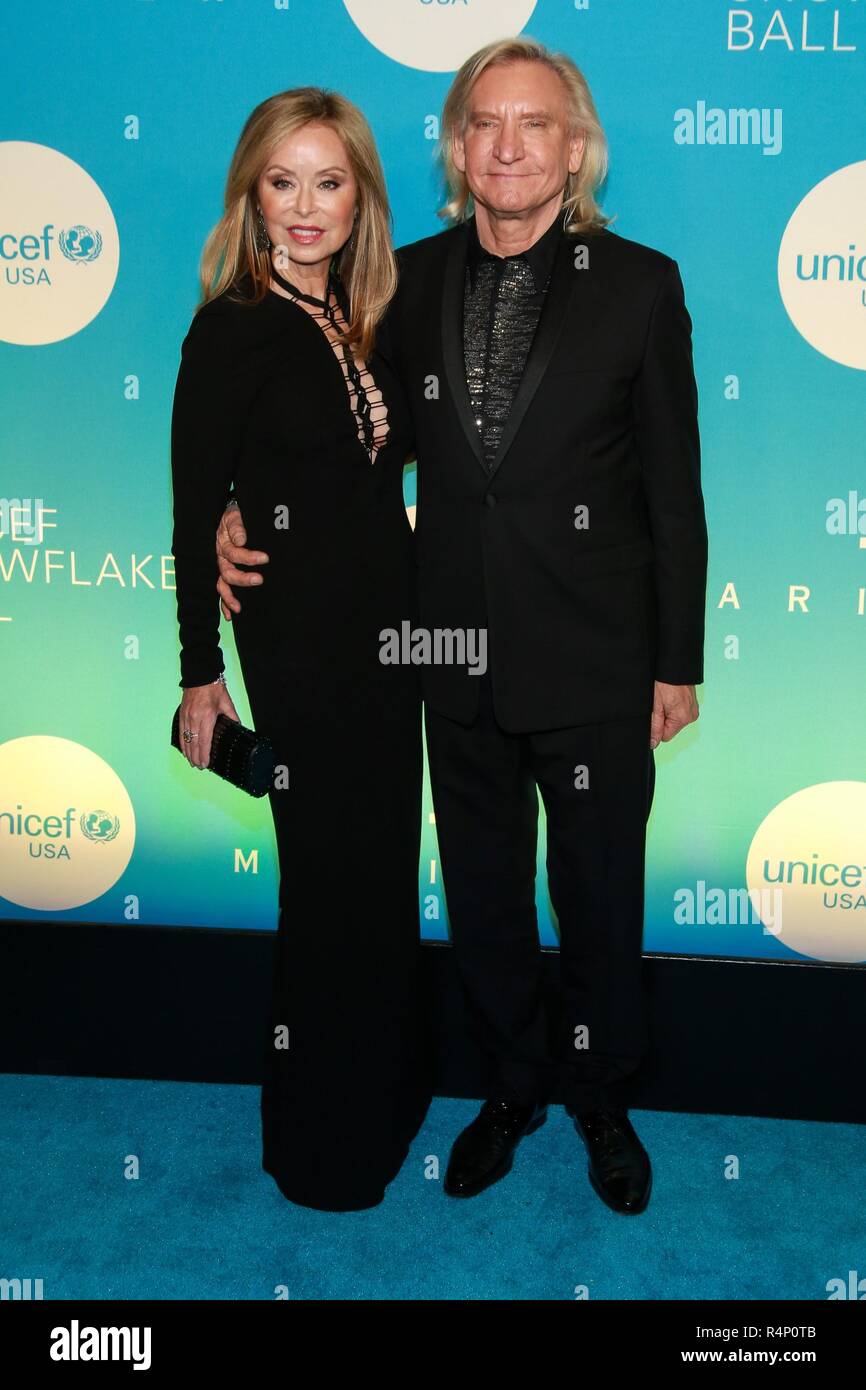 New York, NY, USA. 27th Nov, 2018. Marjorie Bach, Joe Walsh at arrivals ...
