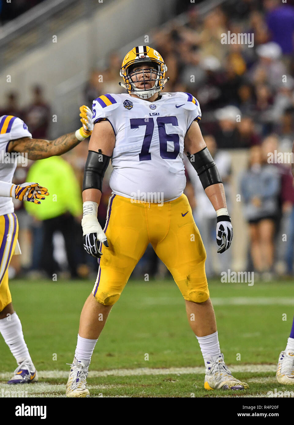 Austin deculus hi-res stock photography and images - Alamy