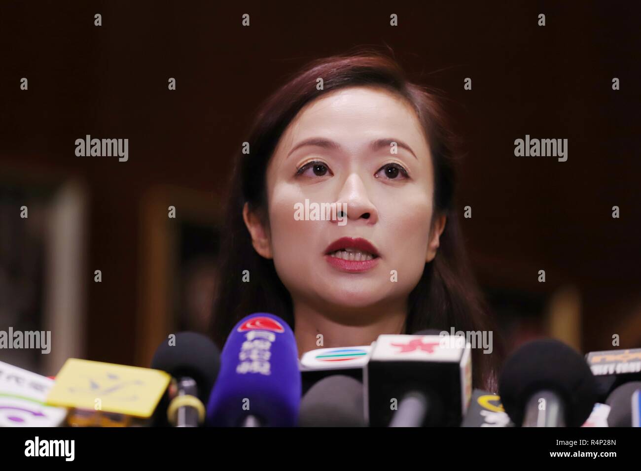 Hong Kong. 28th Nov, 2018. CHAN Hoi-yan ( 41 ) member elect and the ...