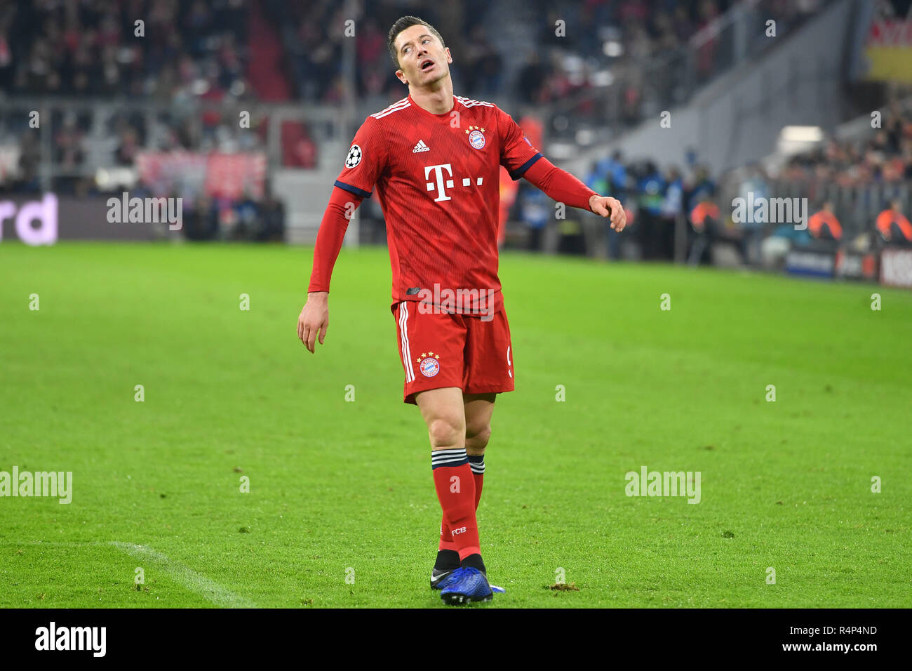 Lewandowski body hi-res stock photography and images - Alamy
