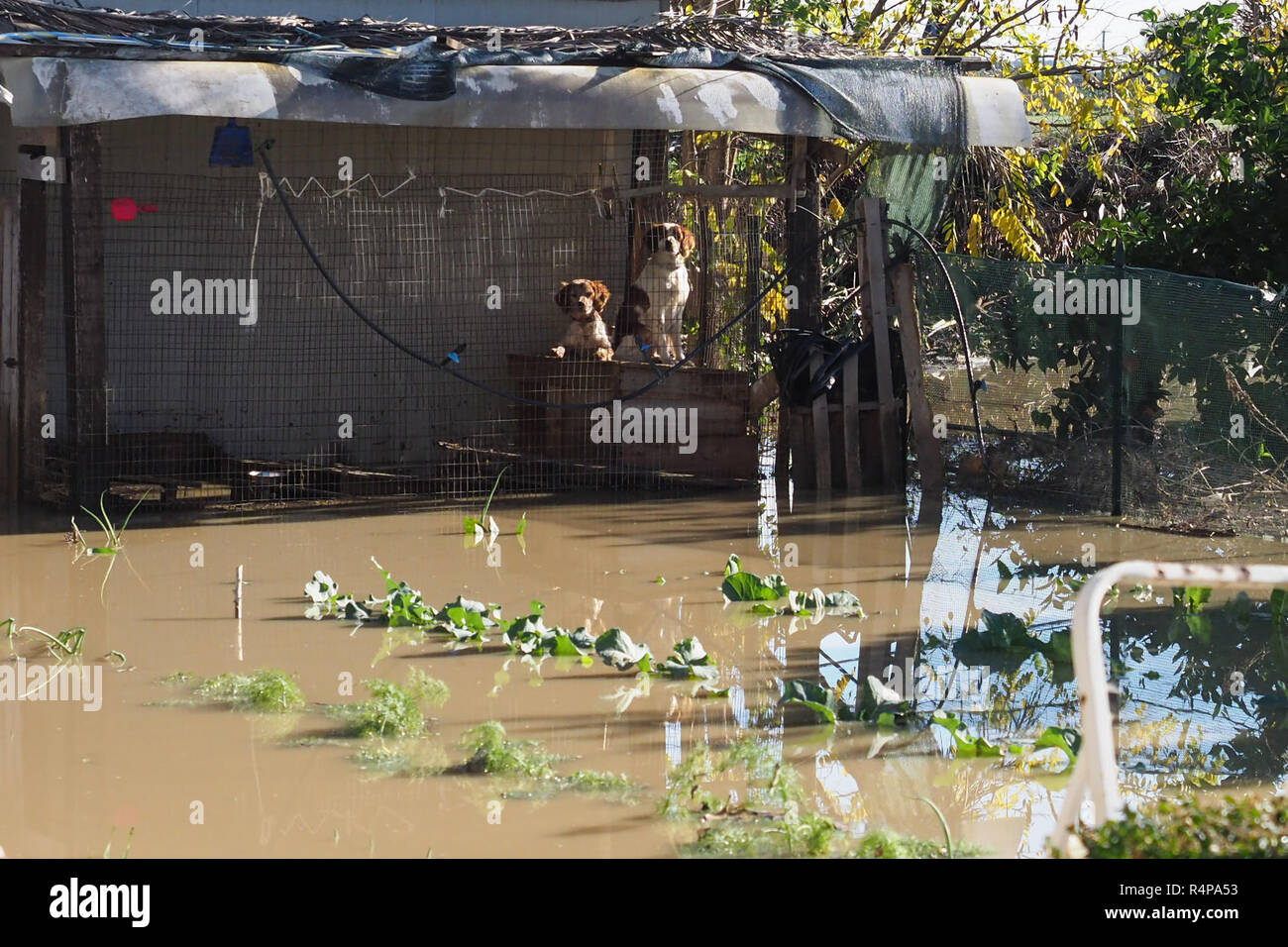 Corigliano Rossano flooding of the Crati in Calabria due to the ...