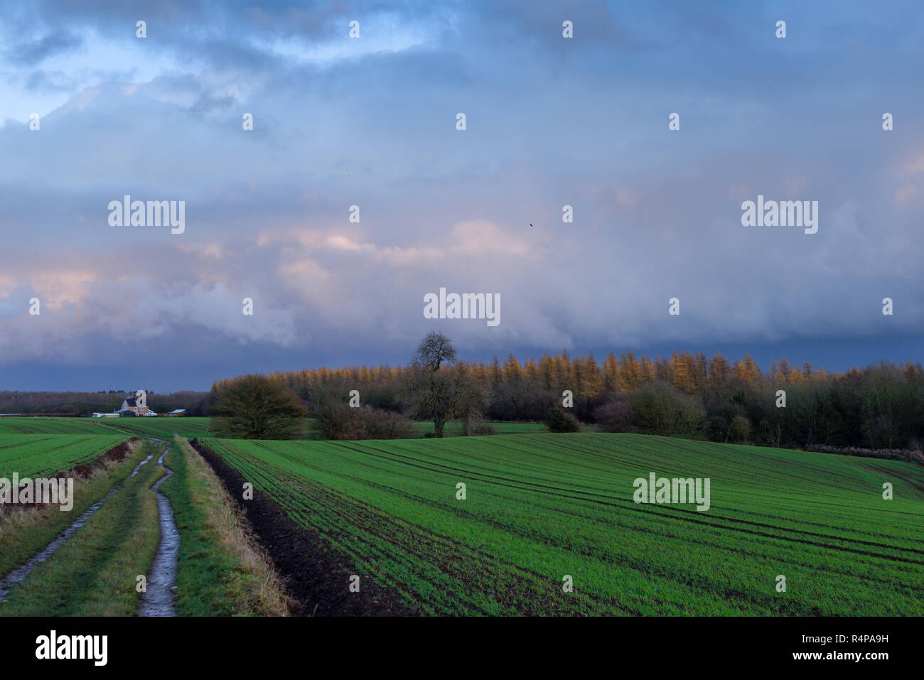 Misk hills hucknall nottinghamshire uk hi-res stock photography and ...