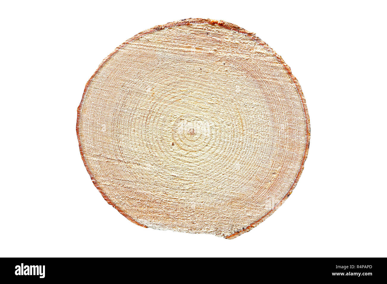 Log cross section hi-res stock photography and images - Alamy