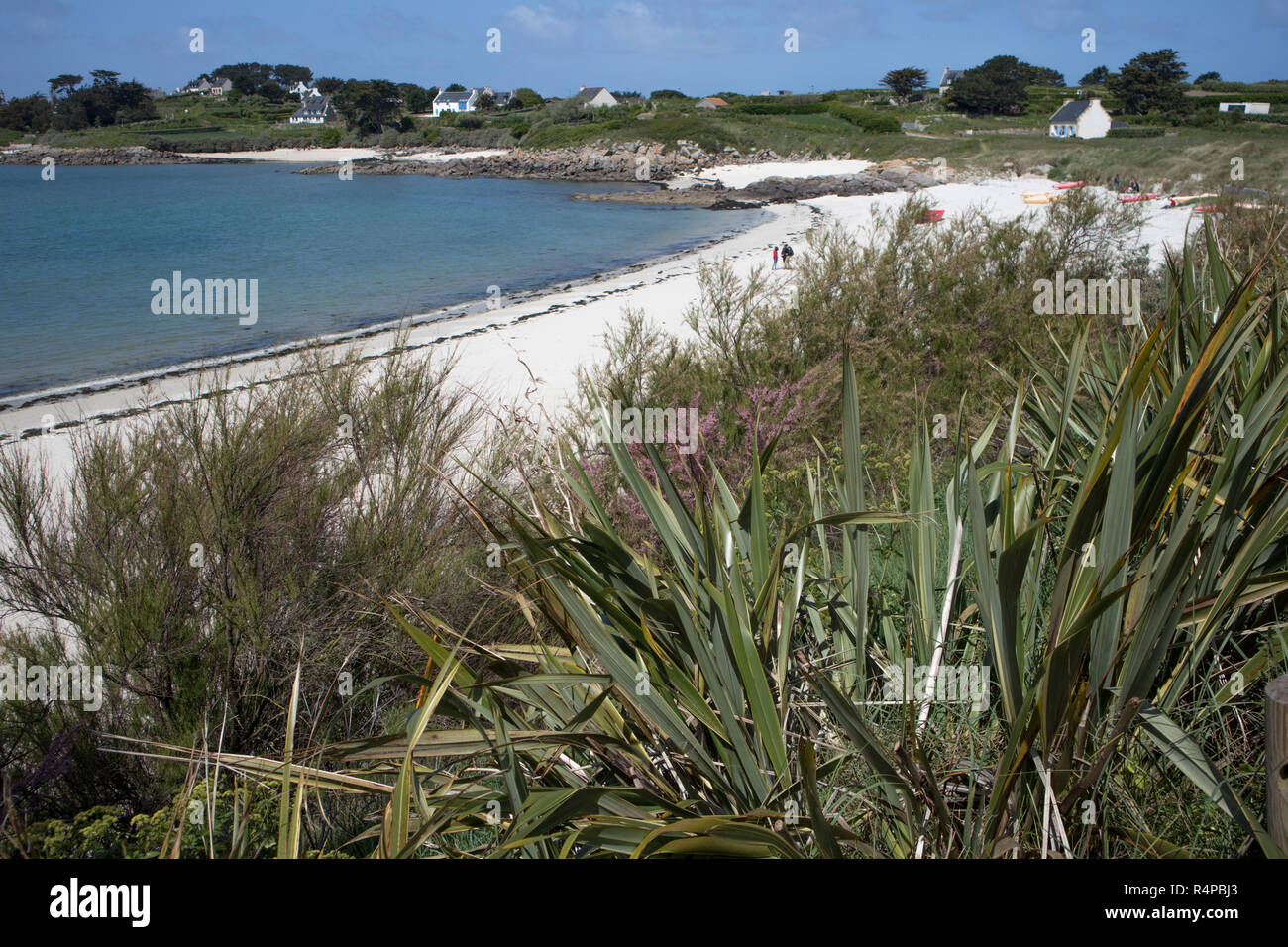 Ile De Batz High Resolution Stock Photography and Images - Alamy