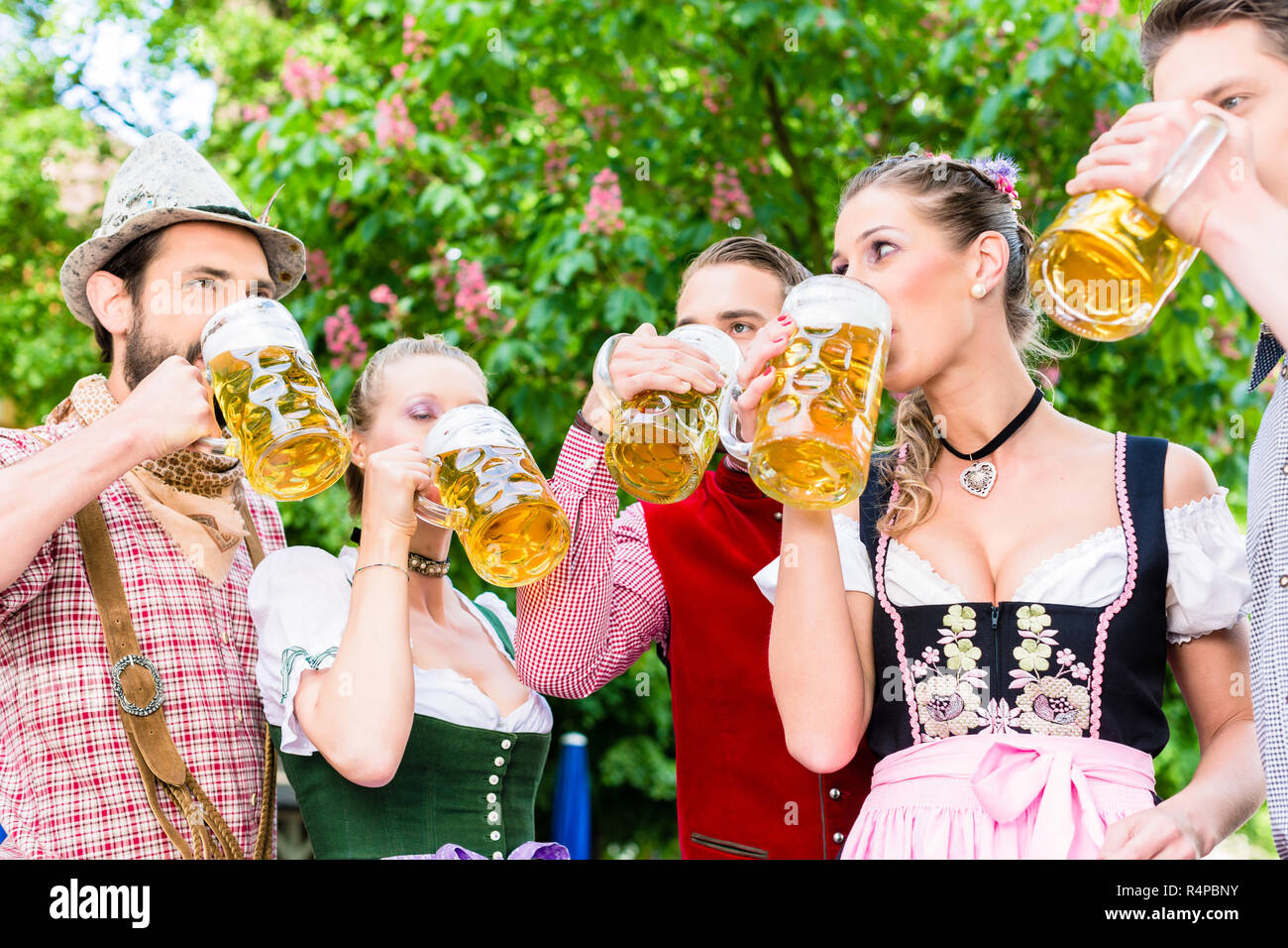 Friend standing under chestnut toasting with beer Stock Photo - Alamy