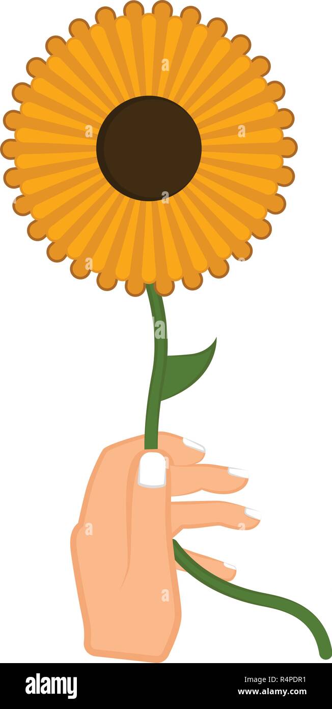 Hand holding a sunflower Stock Vector Image & Art - Alamy