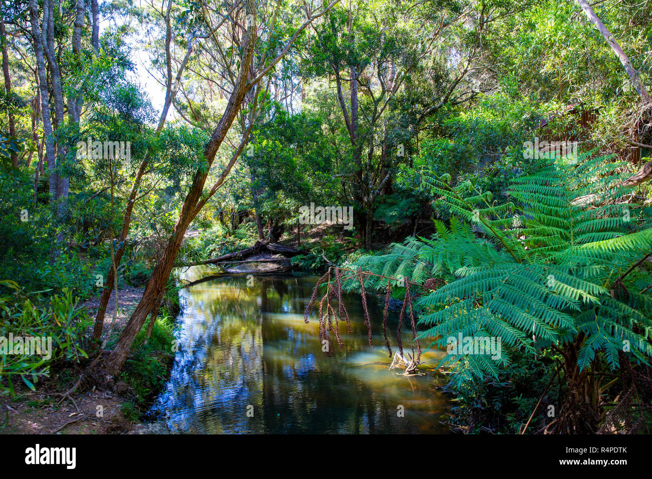 Australia queensland numinbah valley hi-res stock photography and ...