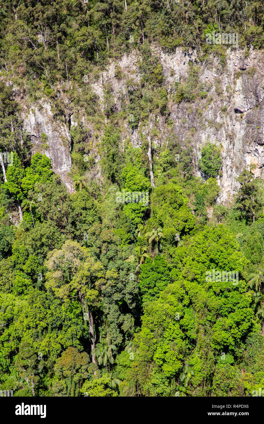 Mcpherson range queensland australia hi-res stock photography and ...