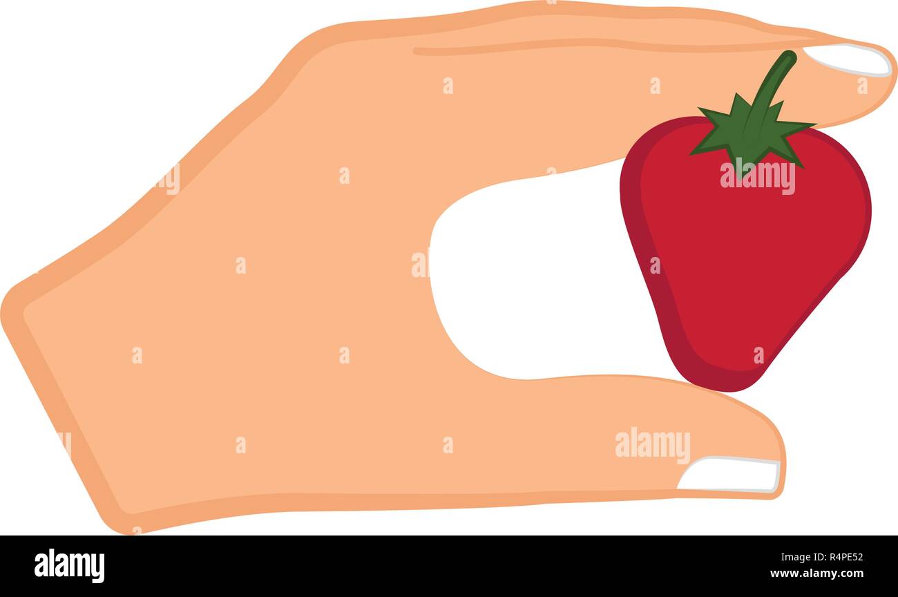 Hand holding a strawberry Stock Vector Image & Art - Alamy