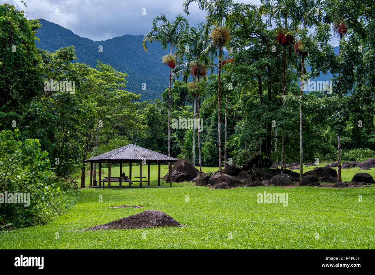 Beautiful park with shelter in Australian wet tropical rainforest ...