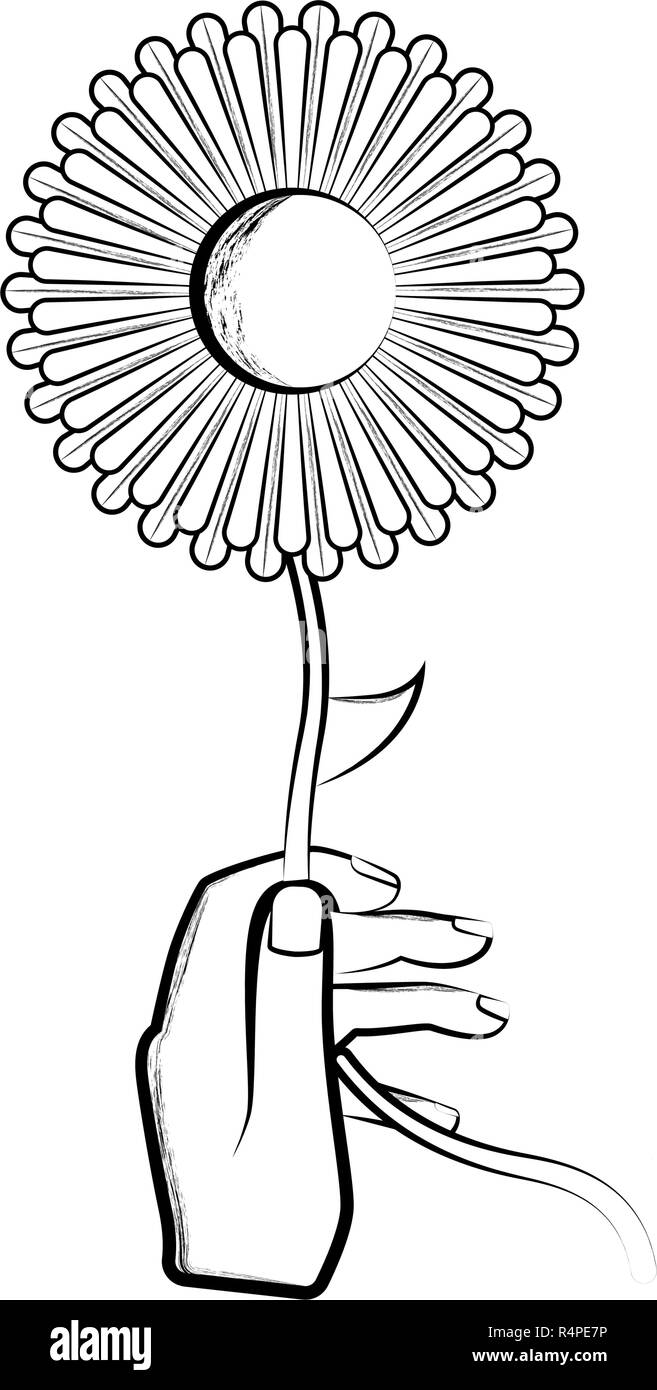 Sketch of a hand holding a sunflower Stock Vector Image & Art - Alamy