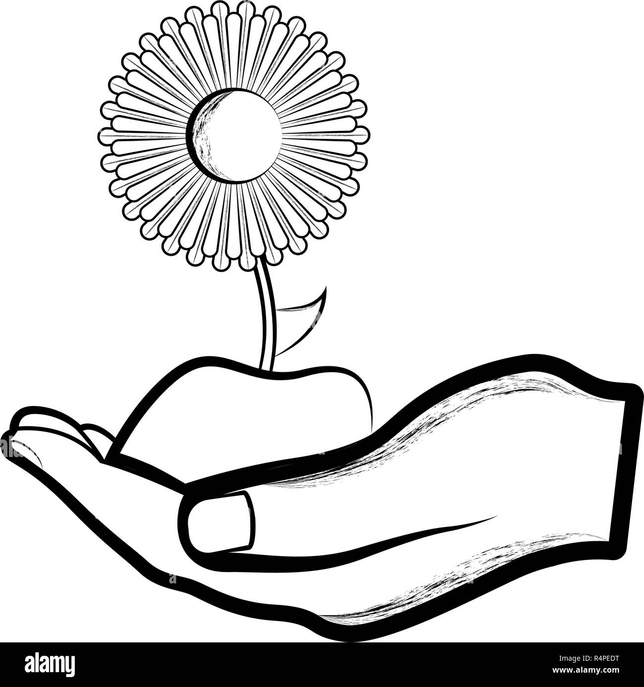 Sketch of a hand holding a sunflower Stock Vector Image & Art - Alamy