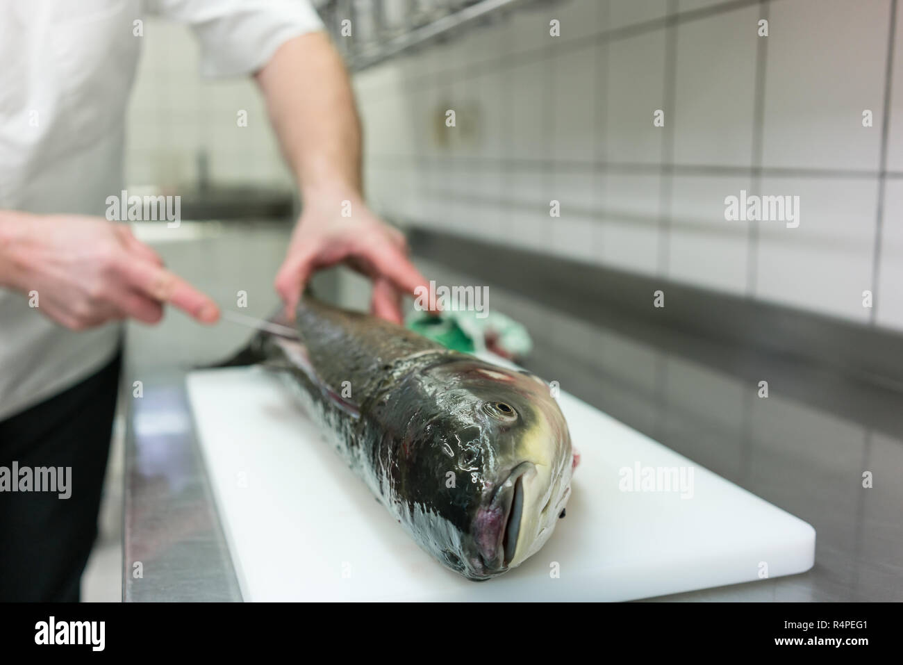 Chef in restaurant kitchen filleting carp fish Stock Photo - Alamy