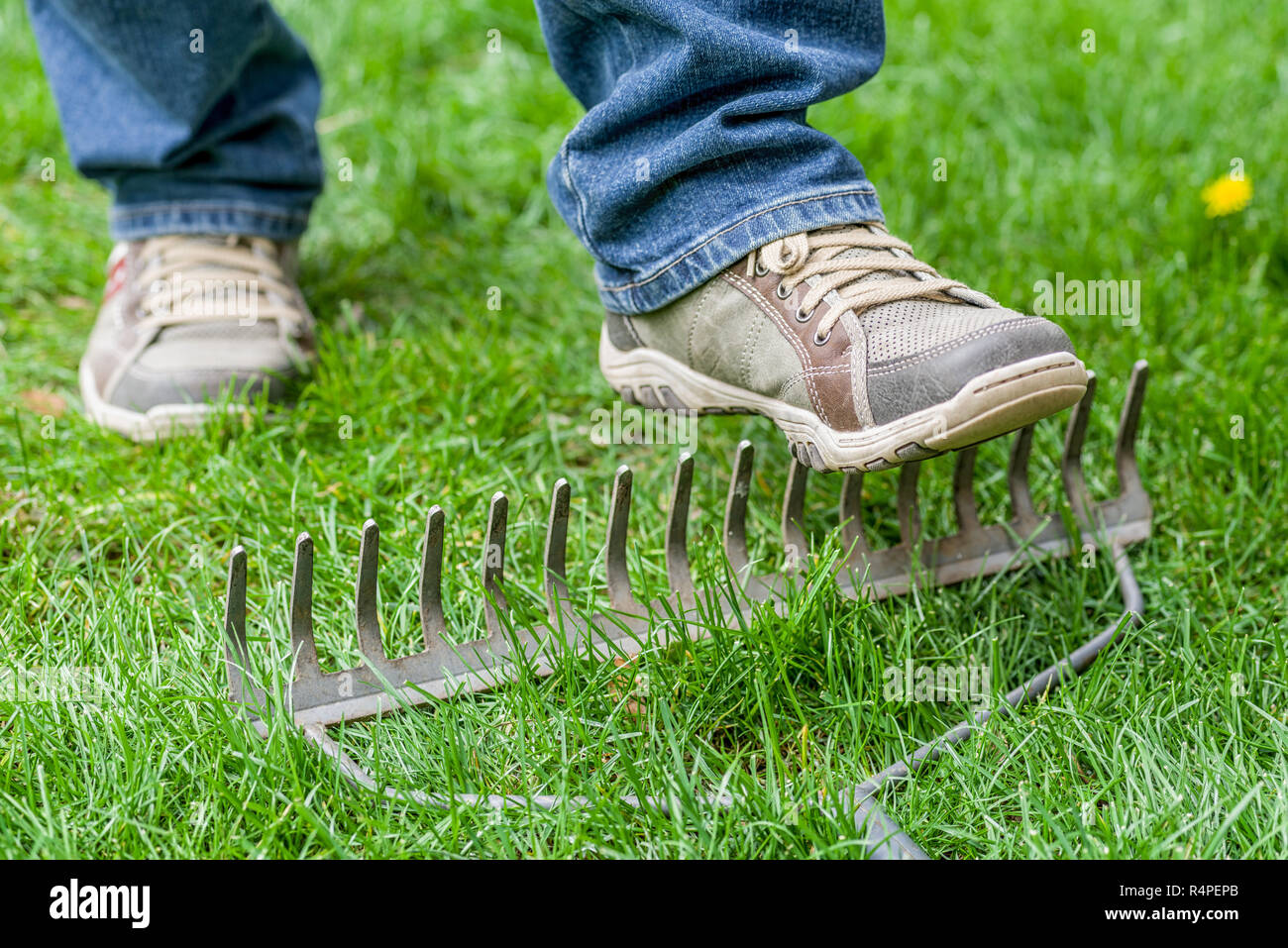Accident foot rake garden hi-res stock photography and images - Alamy