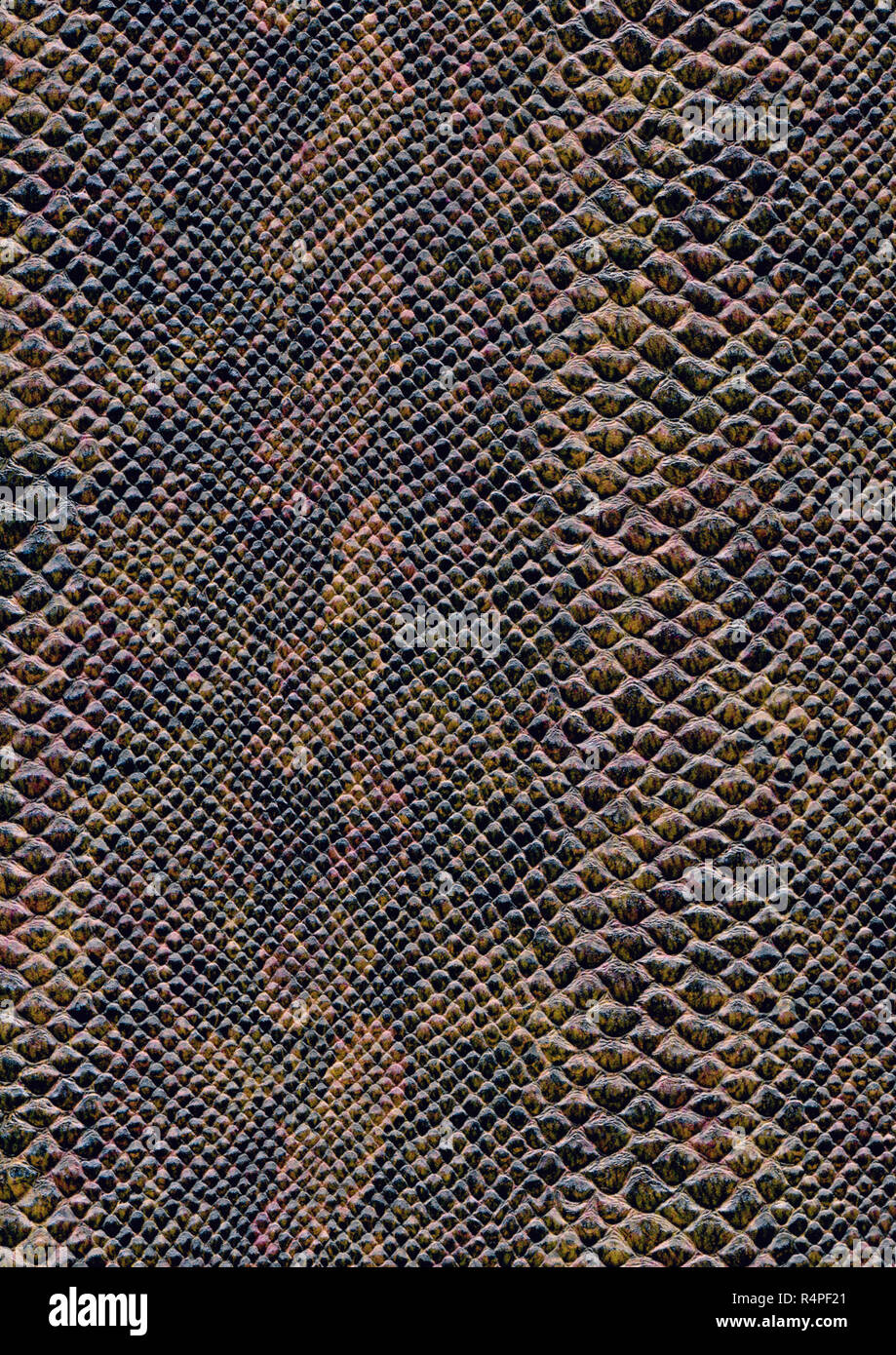 reptile skin surface Stock Photo - Alamy