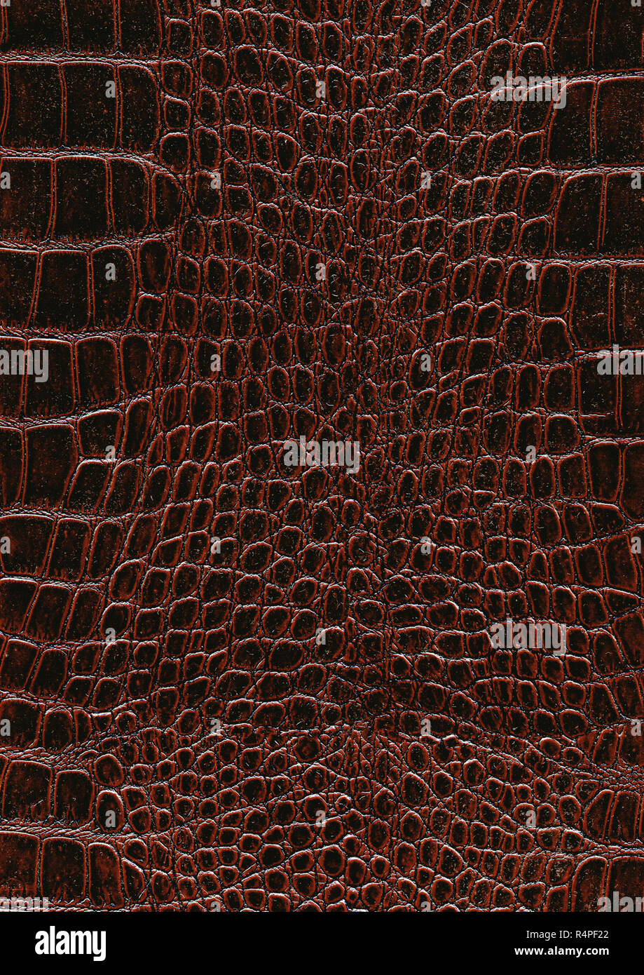 reptile skin surface Stock Photo - Alamy
