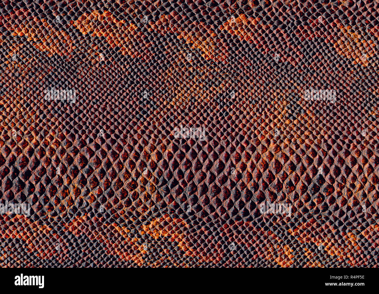 reptile skin surface Stock Photo - Alamy