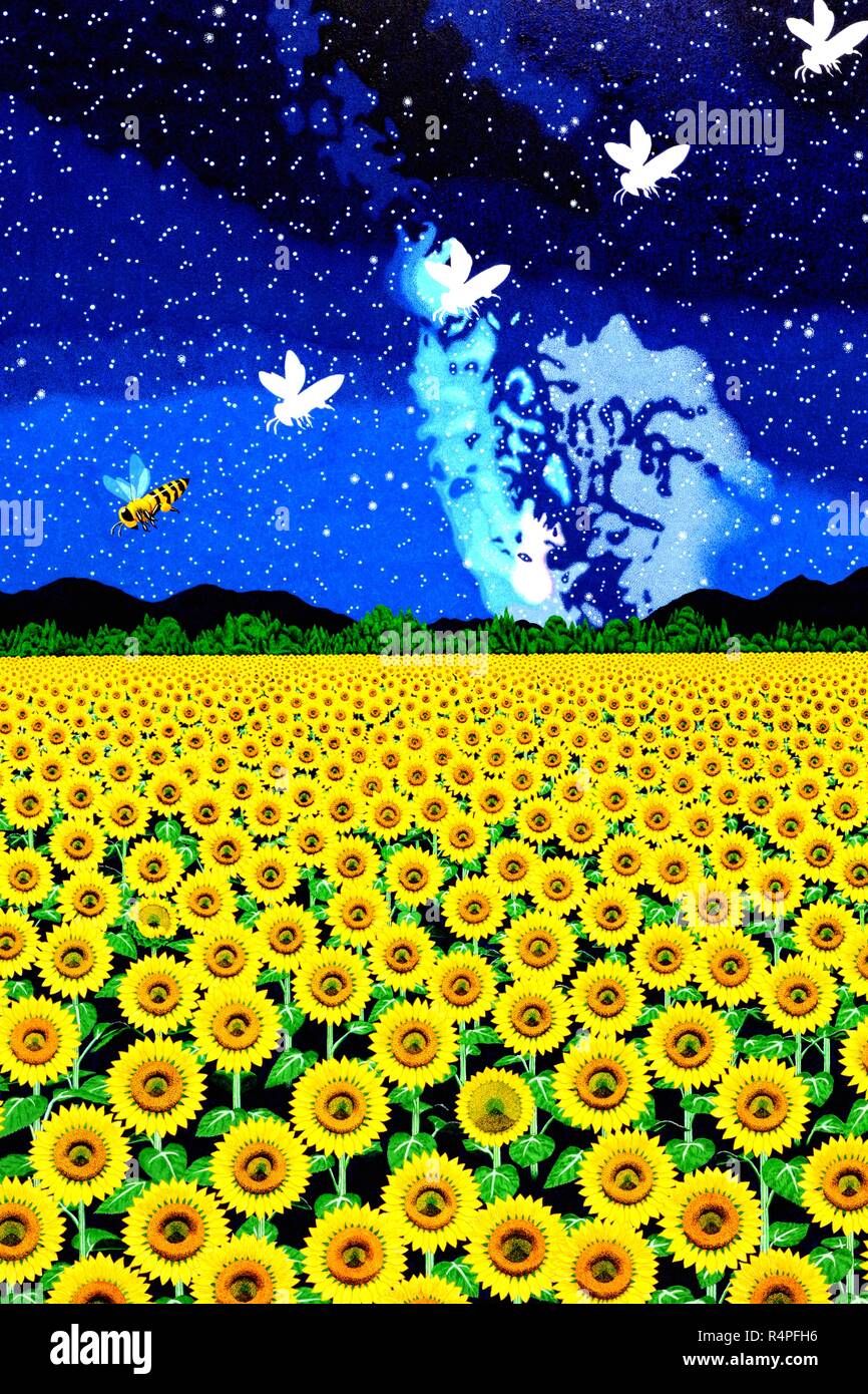 Midsummer night hi-res stock photography and images - Alamy