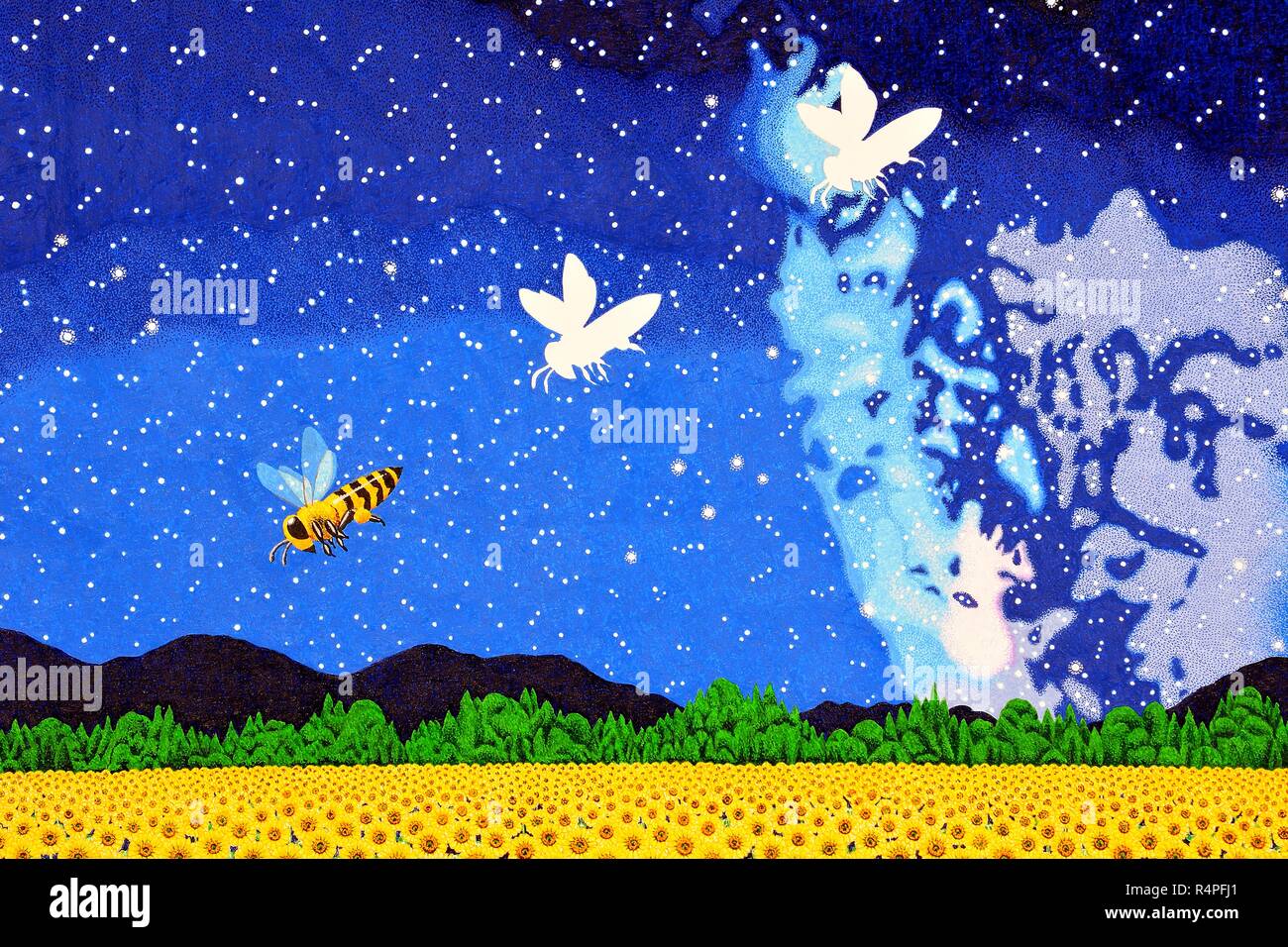 Night Sunflower Field Stock Photo - Alamy