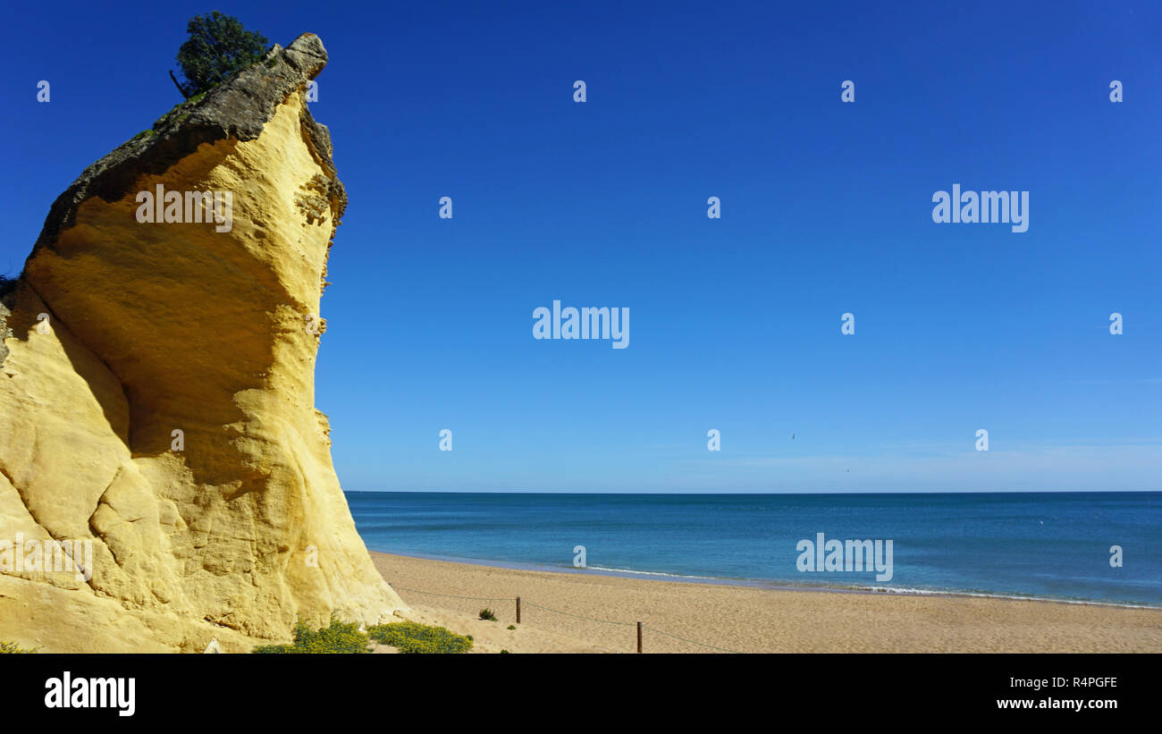 Penecho hi-res stock photography and images - Alamy