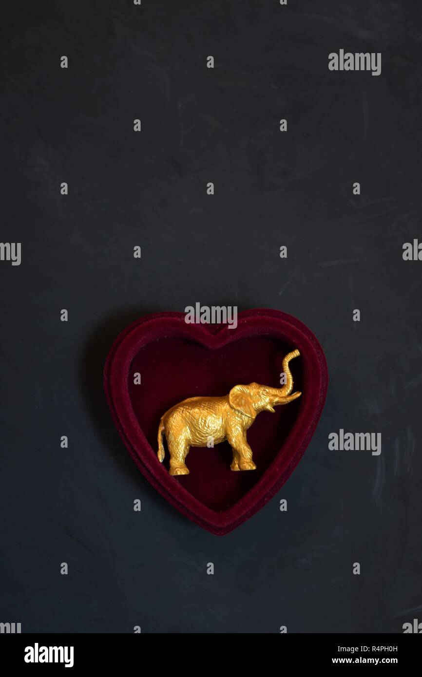 Elephant heart hi-res stock photography and images - Alamy