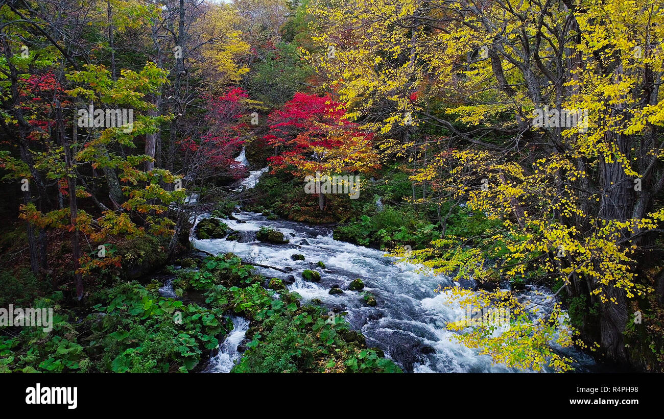 Japanese Fall Foliage and River Stock Photo - Alamy