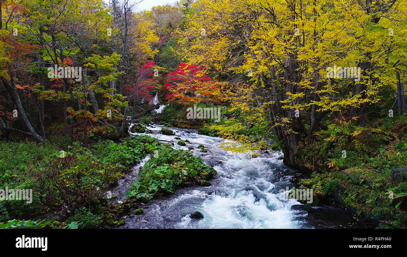 Japanese Fall Foliage and River Stock Photo - Alamy