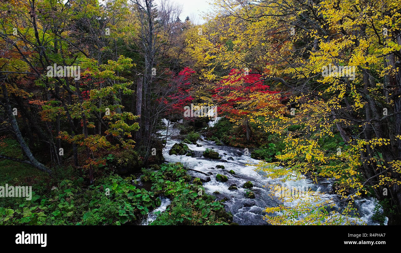 Japanese Fall Foliage and River Stock Photo - Alamy