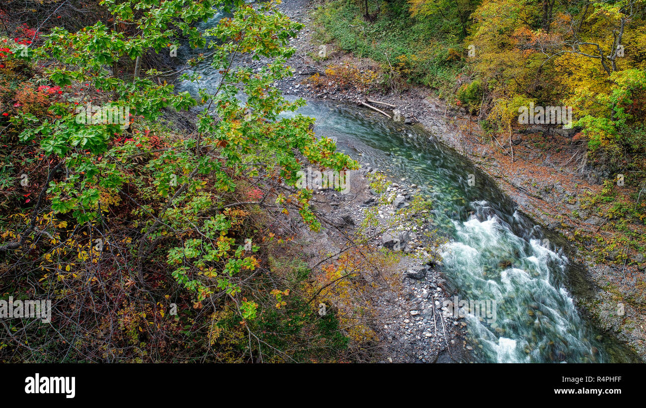 Japanese Fall Foliage and River Stock Photo - Alamy