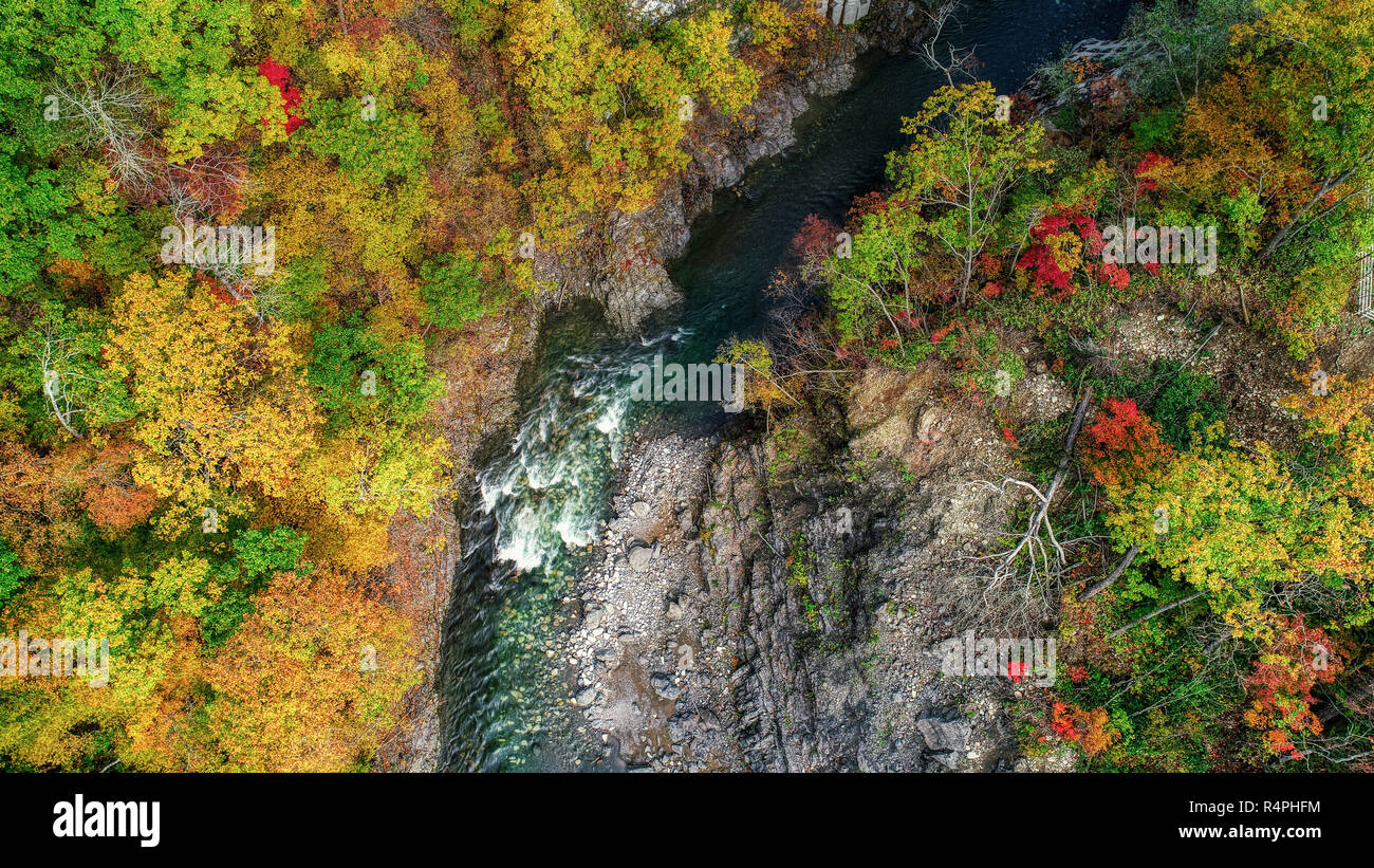 Japanese Fall Foliage and River Stock Photo - Alamy