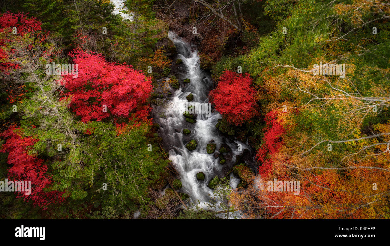 Autumn Foliage and Waterfall Stock Photo - Alamy