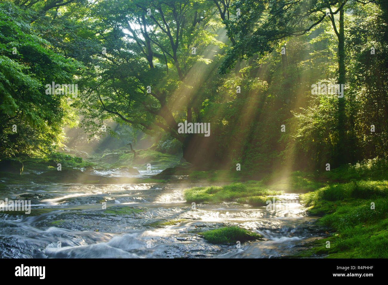 Kikuchi Gorge, Kumamoto Prefecture, Japan Stock Photo - Alamy