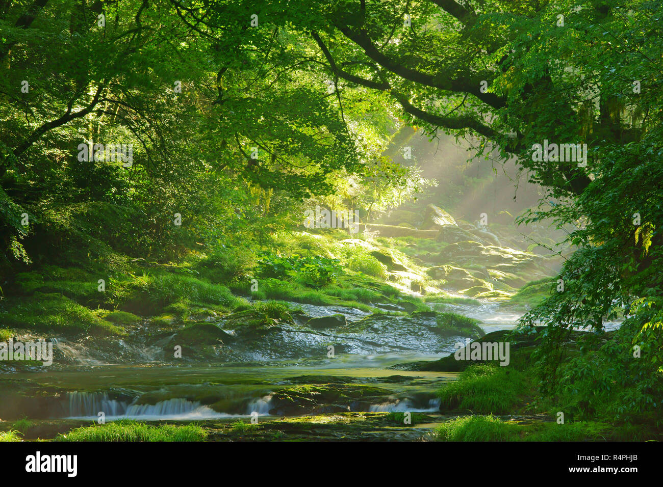 Kikuchi Gorge, Kumamoto Prefecture, Japan Stock Photo - Alamy