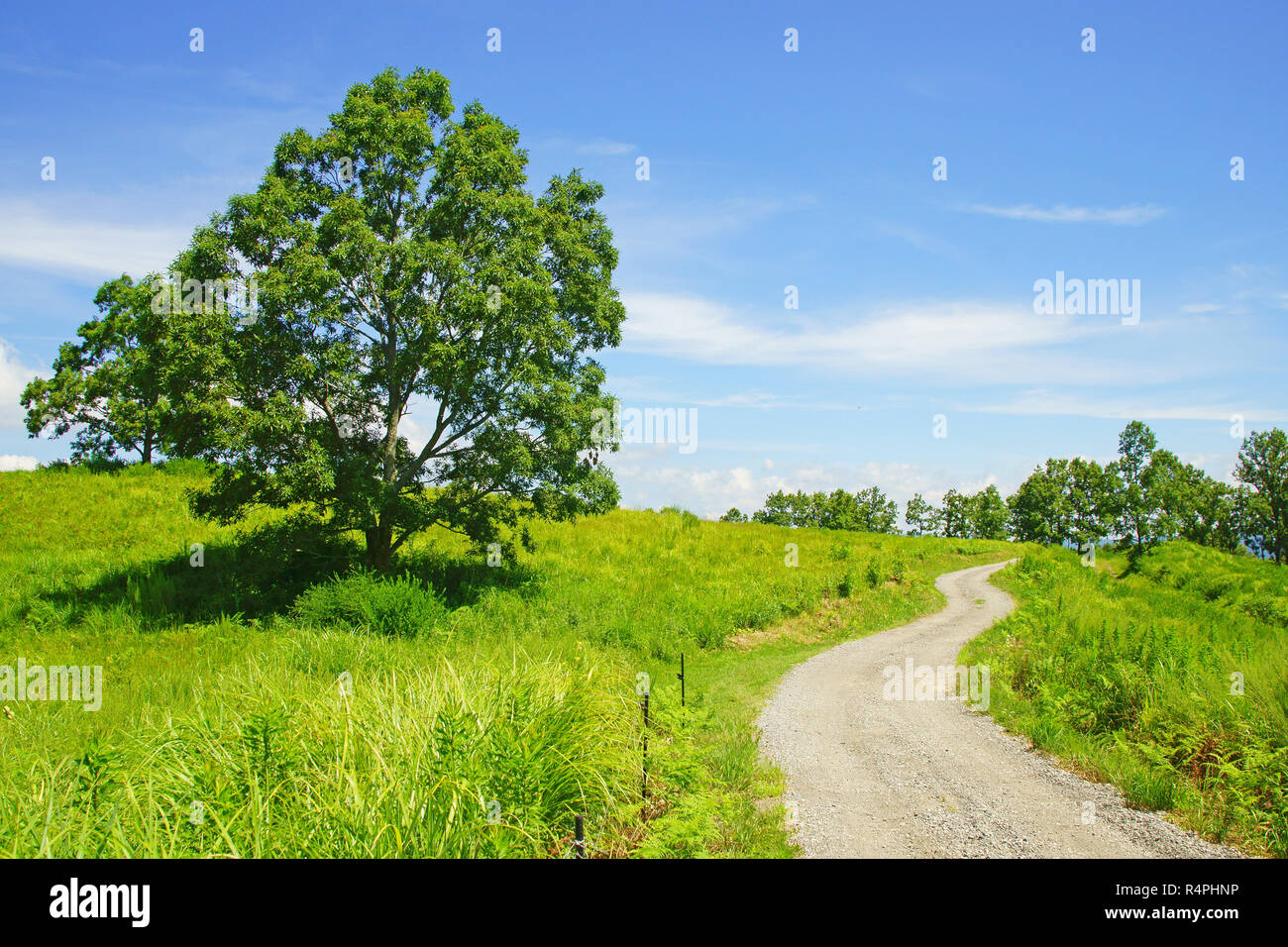 Road of Field Stock Photo - Alamy