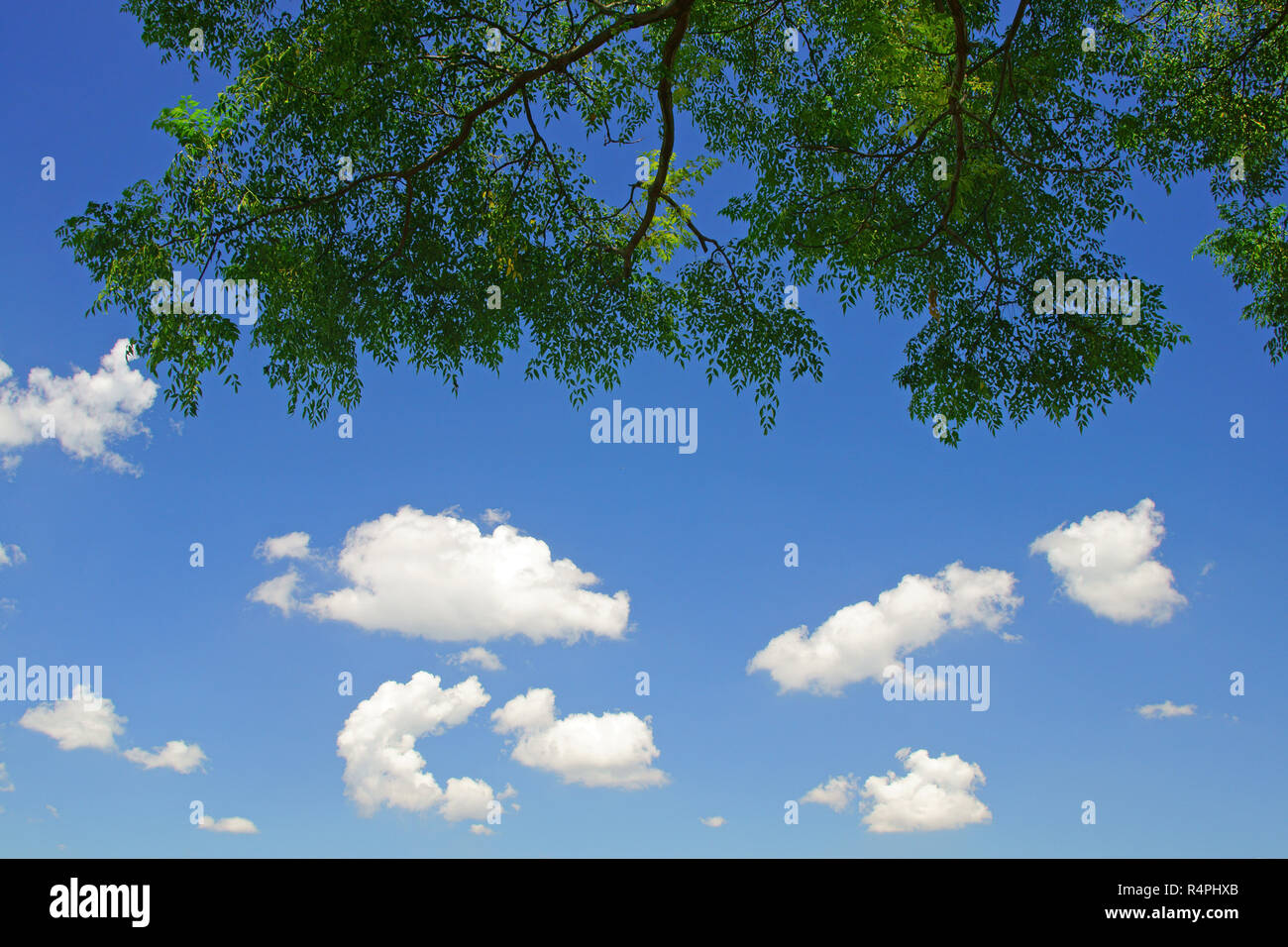 Suizenji Ezuko Park, Kumamoto Prefecture, Japan Stock Photo - Alamy